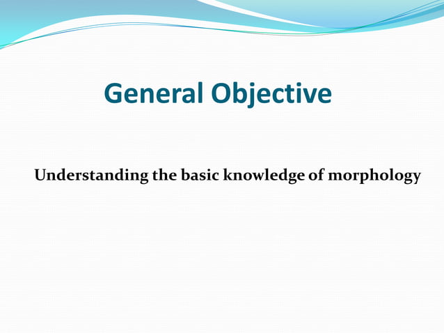 Basic Morphology | PPTX