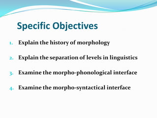Basic Morphology | PPTX