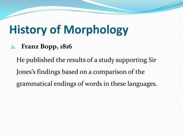 Basic Morphology | PPT