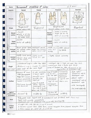 Dental Anatomy _or_ Morphology _ BDS_ ISNC | PDF