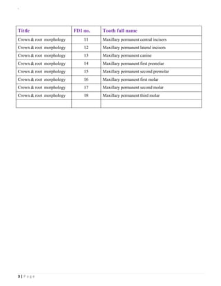 Dental Anatomy _or_ Morphology _ BDS_ ISNC | PDF