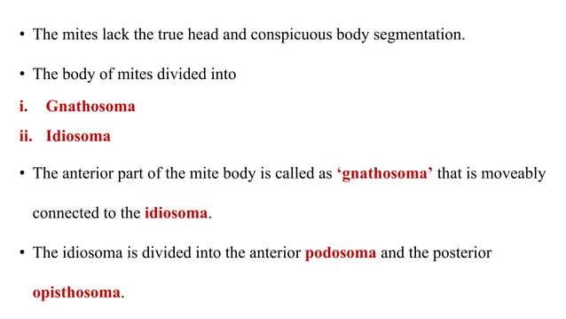 Morphology, Classification and Control of Mites | PPTX