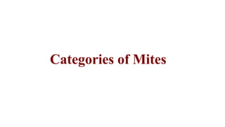 Morphology, Classification and Control of Mites | PPTX