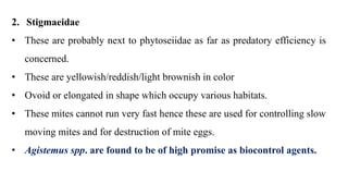 Morphology, Classification and Control of Mites | PPTX