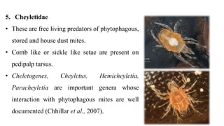Morphology, Classification and Control of Mites | PPTX