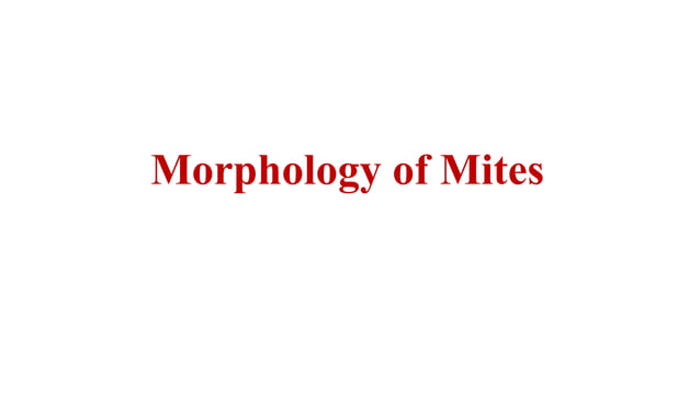Morphology, Classification and Control of Mites | PPTX