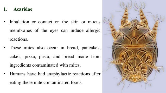 Morphology, Classification and Control of Mites
