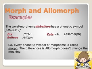 MORPHOLOGY | PPT
