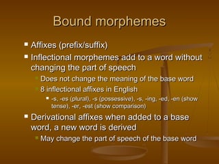 Morphology general view | PPT