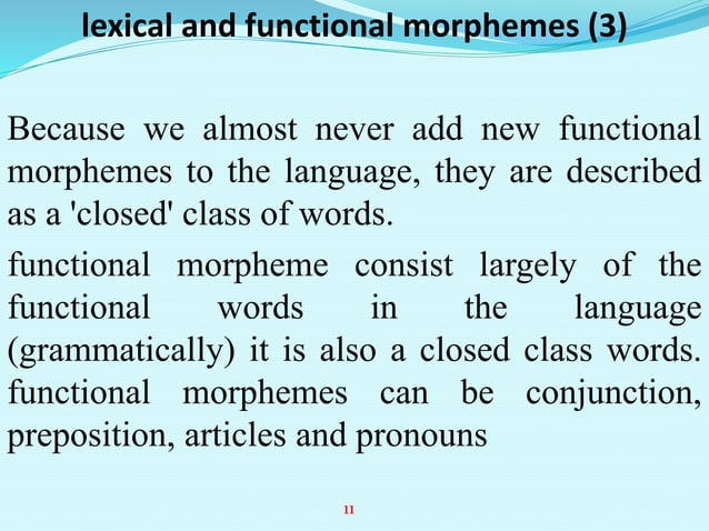 Morphology, grammar | PPT