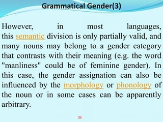 Morphology, grammar | PPTX