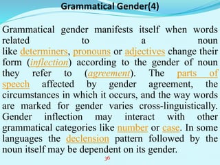 Morphology, grammar | PPTX