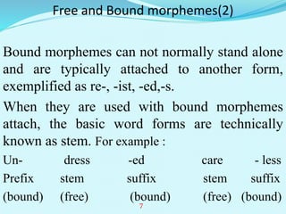 Morphology, grammar | PPTX