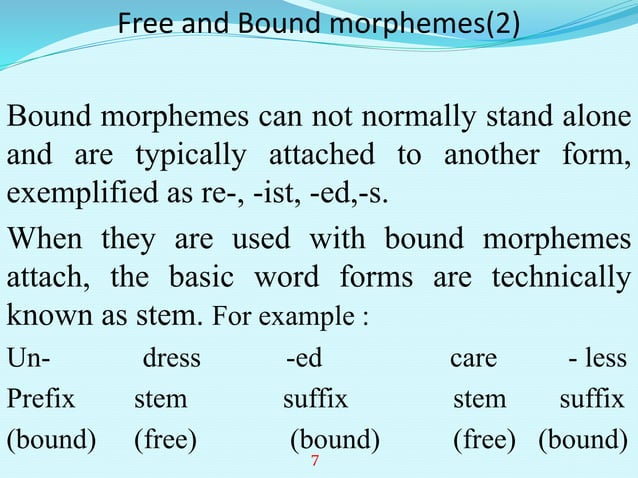 Morphology, grammar | PPT