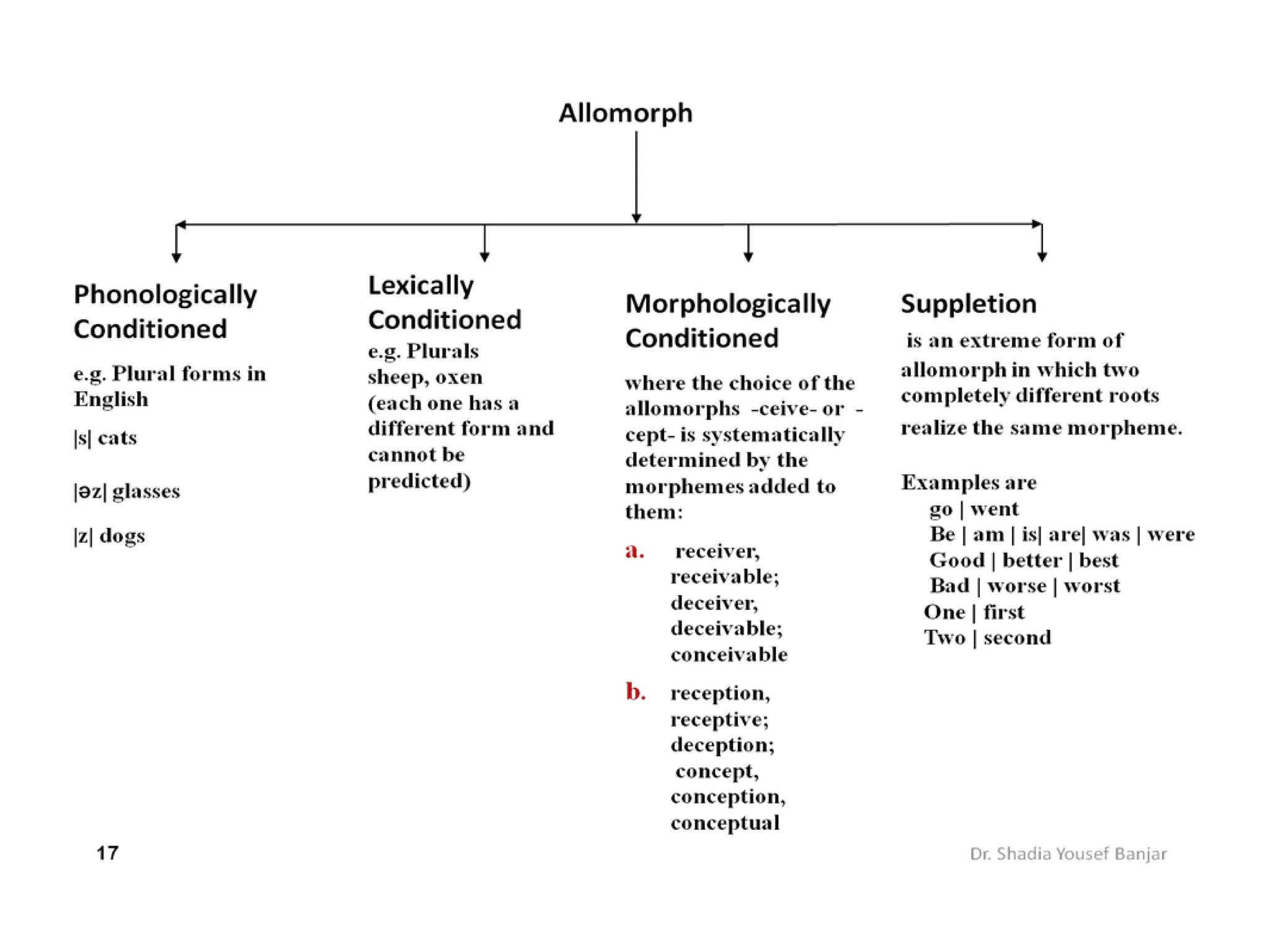 MORPHOLOGY (Morphs ,Allomorph, Grammatical and Phonological ...