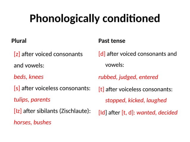 MORPHOLOGY (Morphs ,Allomorph, Grammatical and Phonological ...