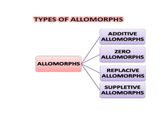 MORPHOLOGY (Morphs ,Allomorph, Grammatical and Phonological Conditioning).pptx