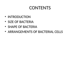 morphology of bacteria / shape and form of bacteria.pptx