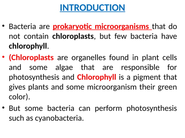 morphology of bacteria / shape and form of bacteria.pptx