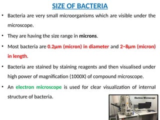 morphology of bacteria / shape and form of bacteria.pptx