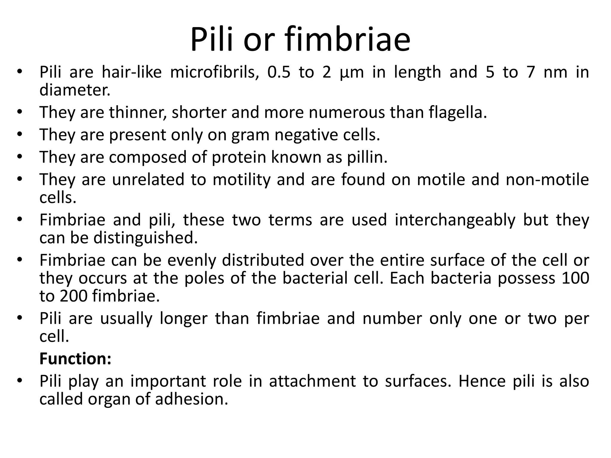 Morphology of bacteria | PPTX