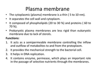 Morphology of bacteria | PPTX