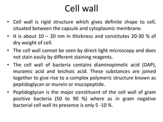 Morphology of bacteria | PPTX