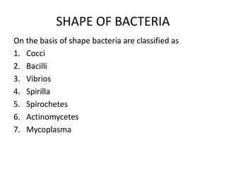 Morphology of bacteria | PPTX