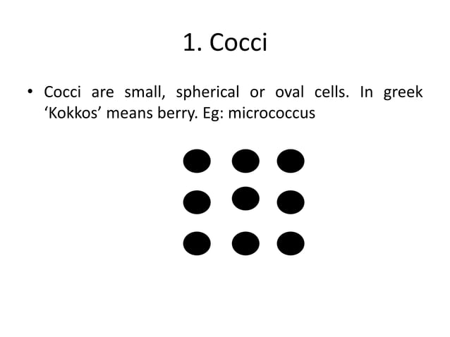 Morphology of bacteria | PPTX