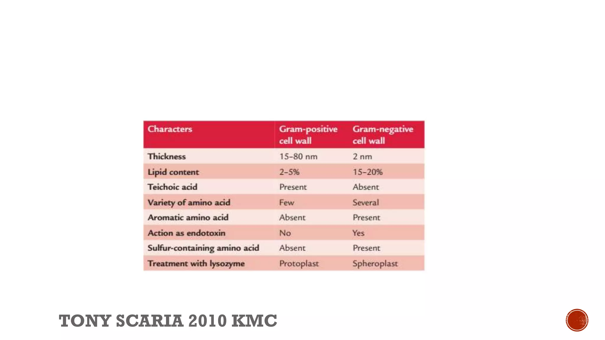 Morphology of bacteria revision notes microbiology | PDF