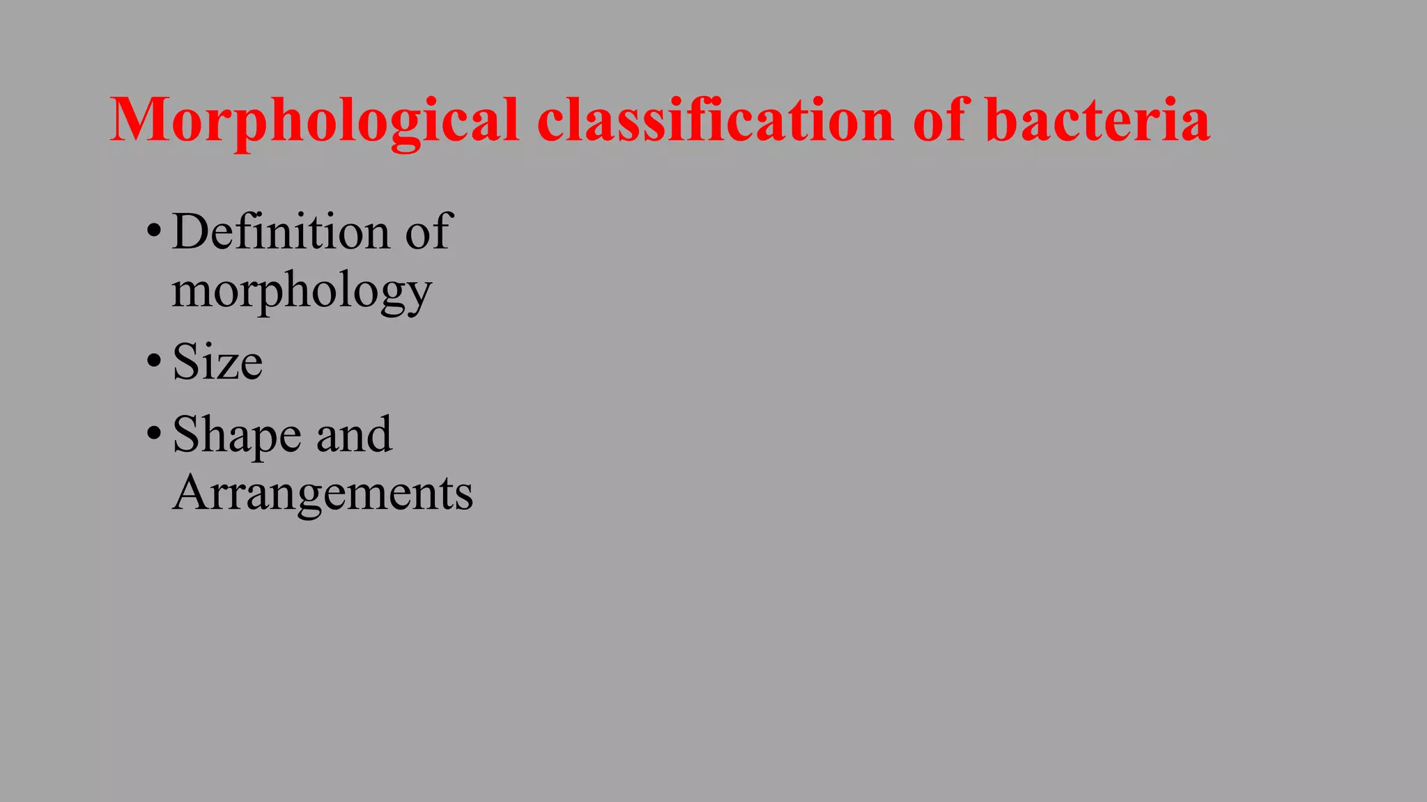 Morphology of bacteria | PPTX | Biological Sciences | Science