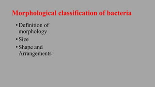 Morphology of bacteria | PPTX | Biological Sciences | Science
