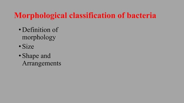 Morphology of bacteria | PPTX | Biological Sciences | Science