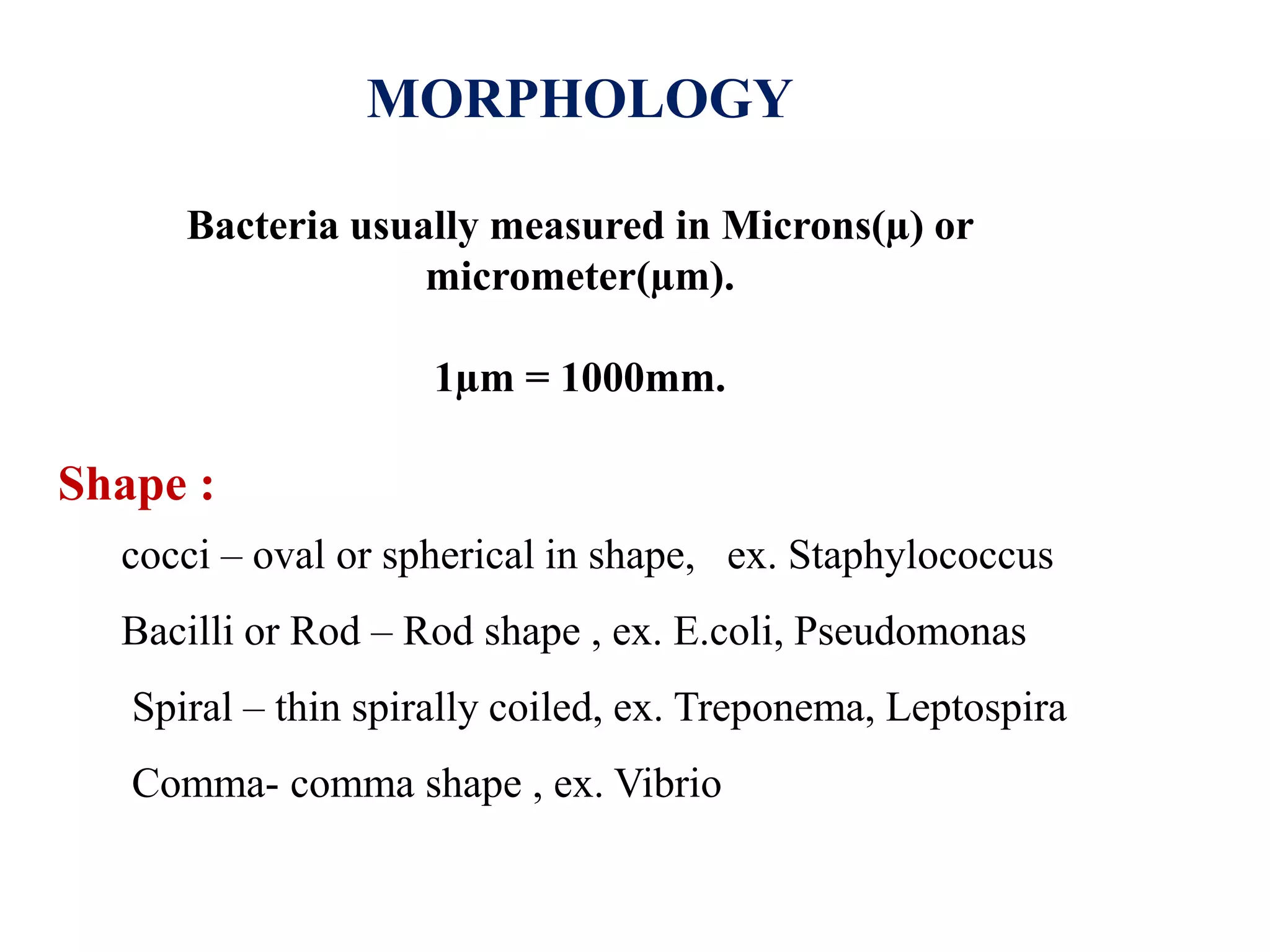 Morphology of bacteria | PPTX