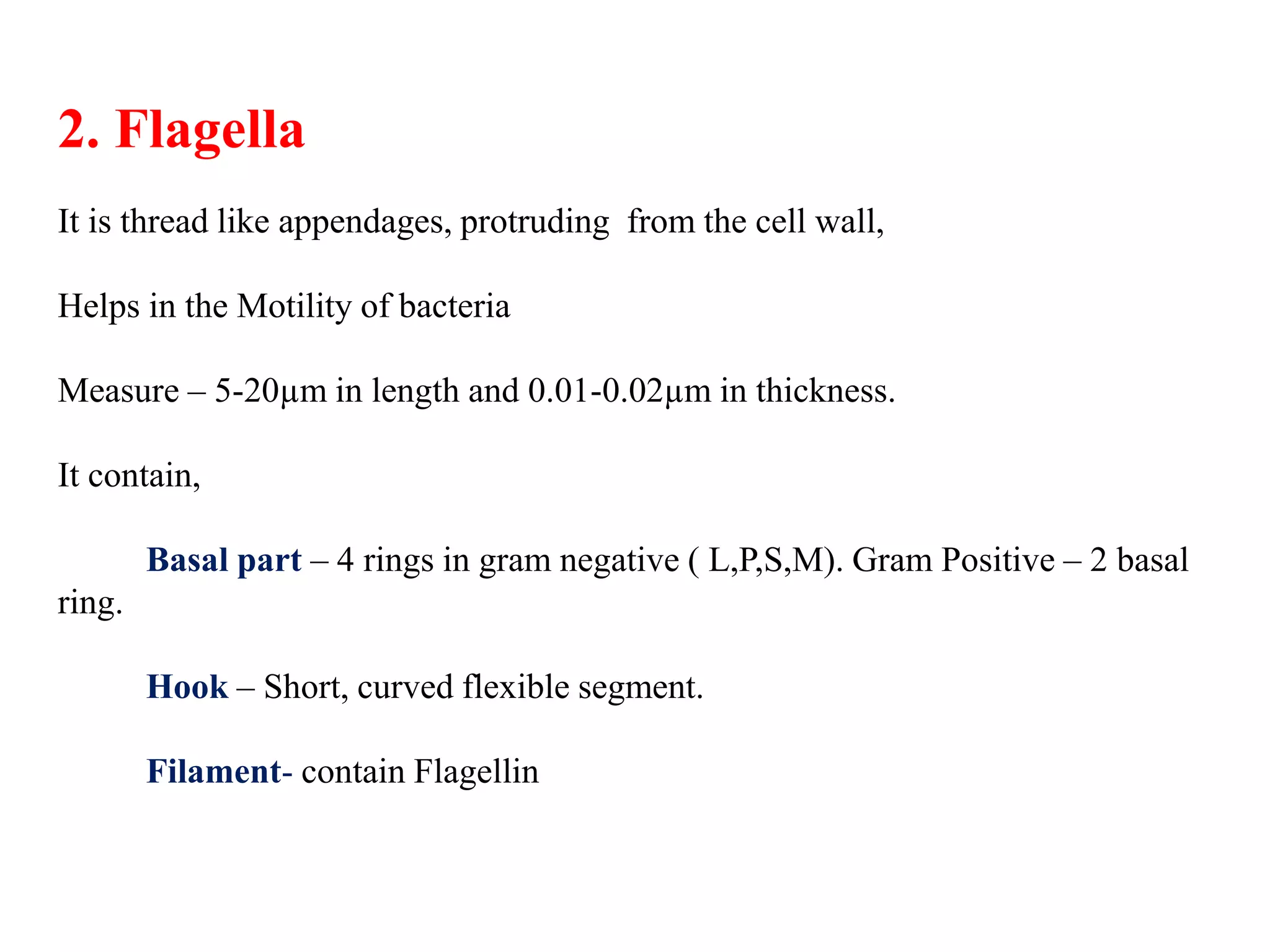Morphology of bacteria | PPTX