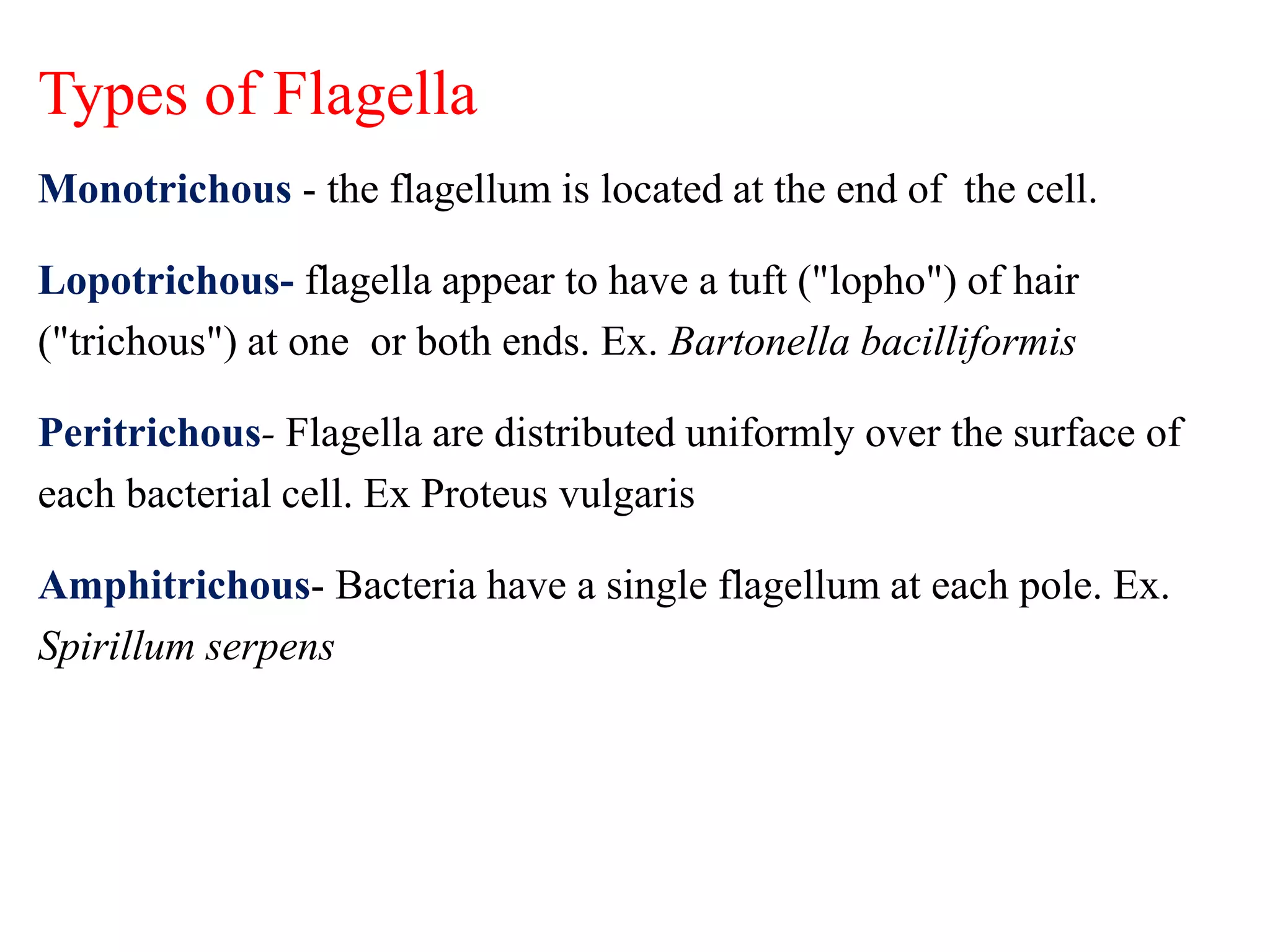 Morphology of bacteria | PPTX