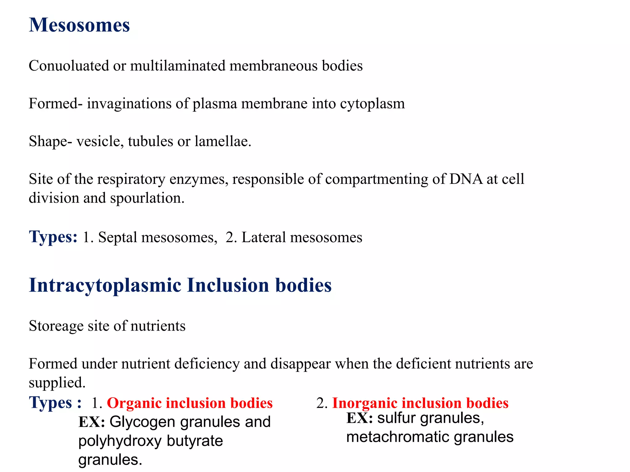 Morphology of bacteria | PPTX