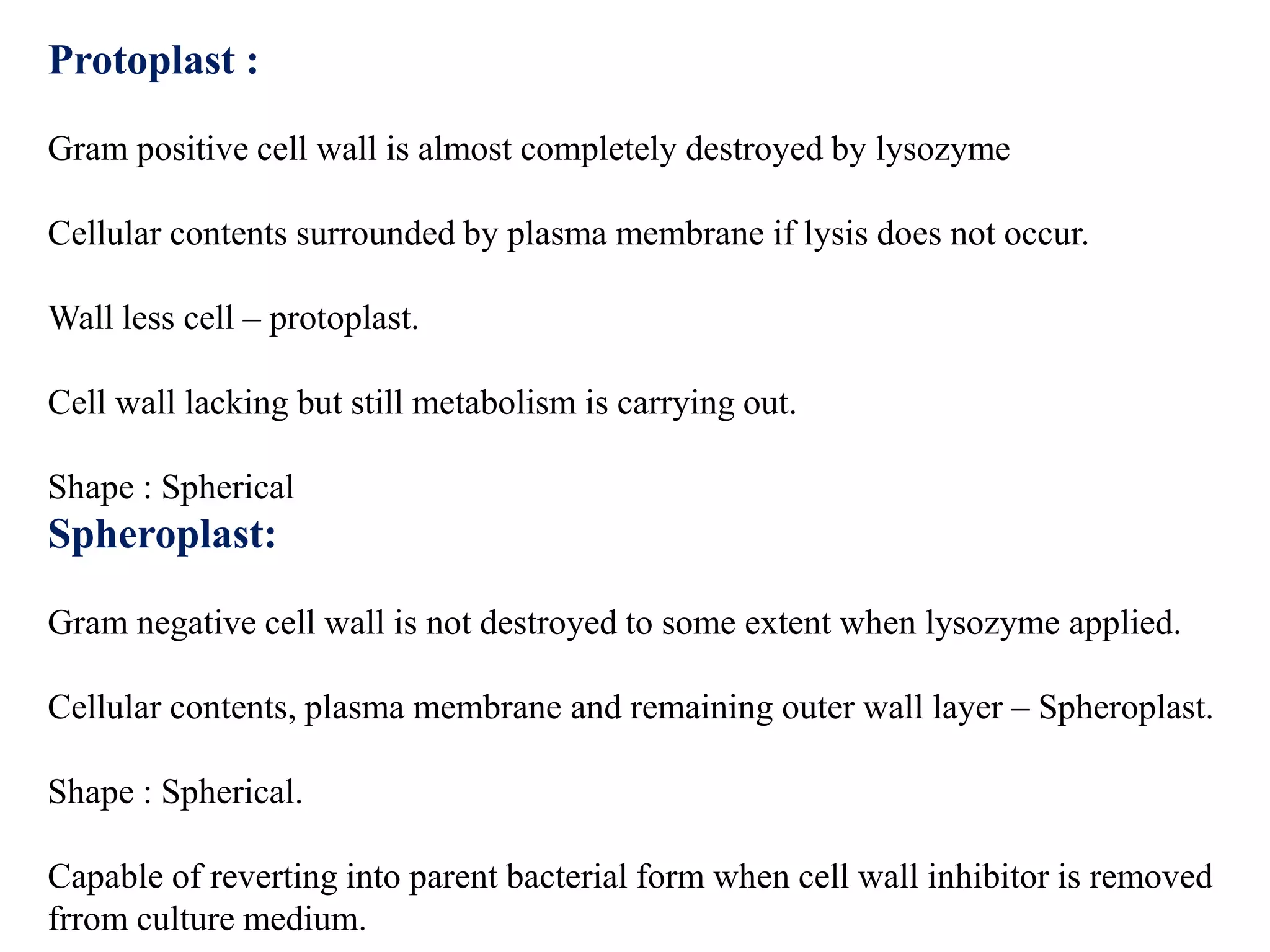 Morphology of bacteria | PPTX