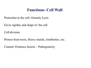 Morphology of bacteria | PPTX