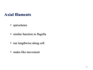Morphology of bacteria | PPTX