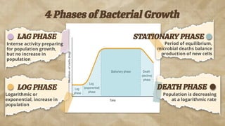 Morphology of Bacteria.pdf