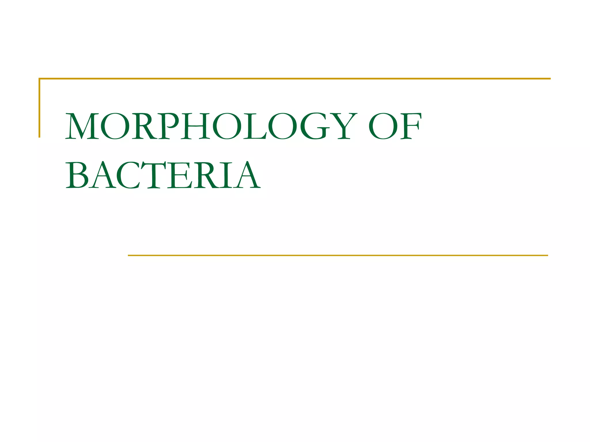 MORPHOLOGY OF BACTERIA | PPT