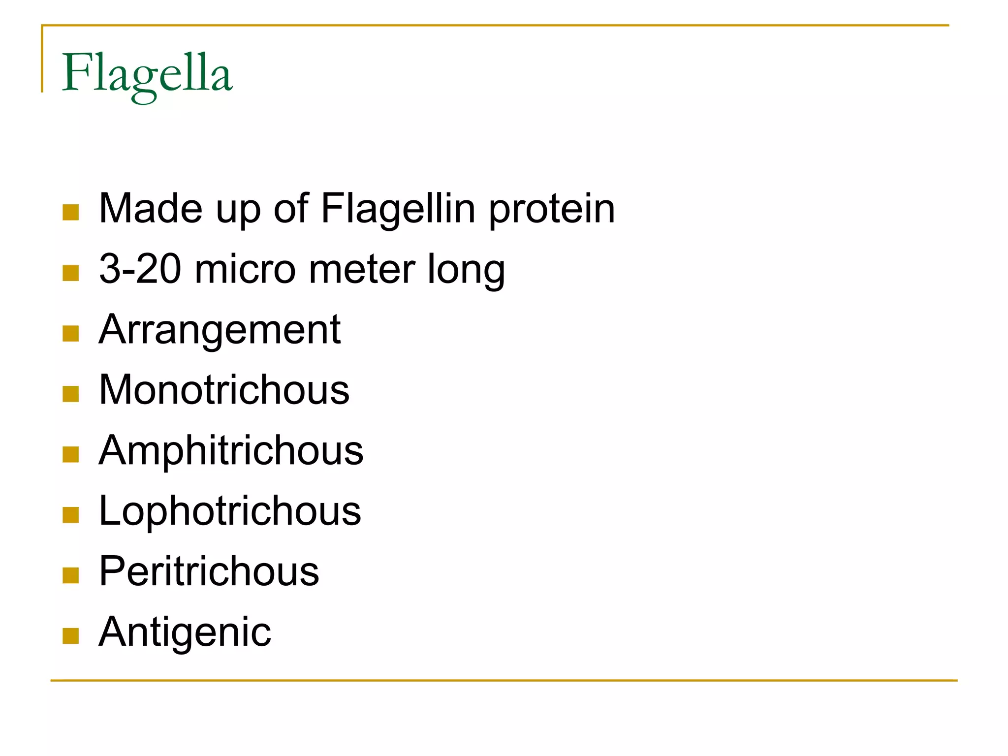 MORPHOLOGY OF BACTERIA | PPT