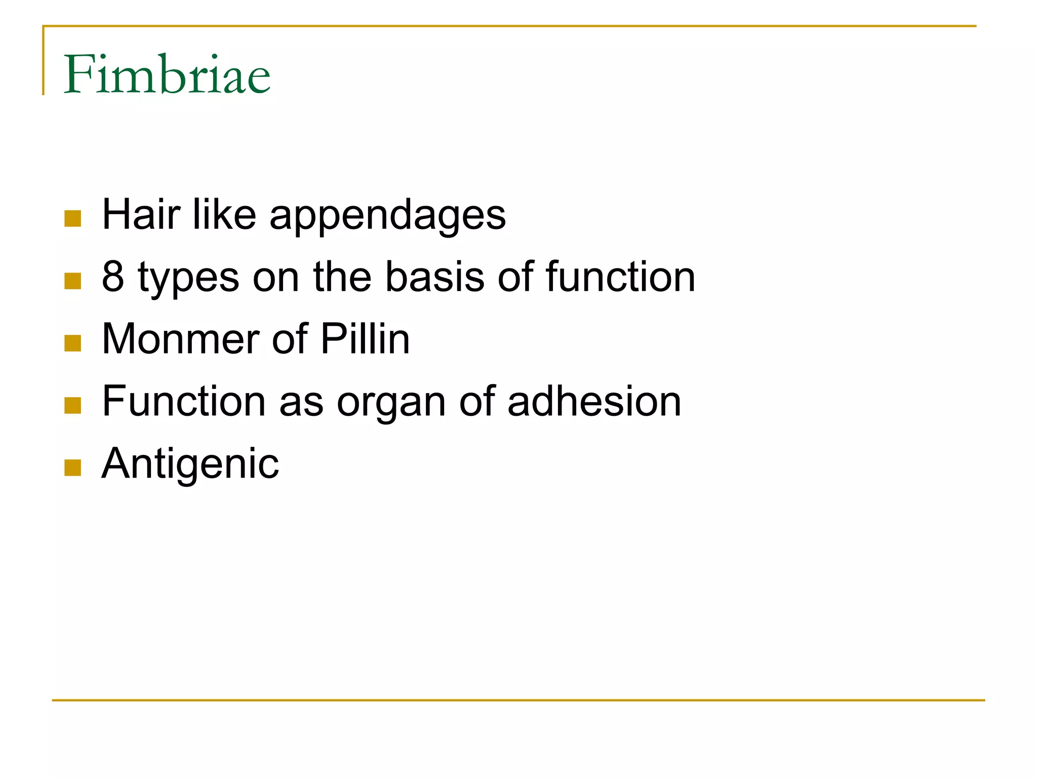 MORPHOLOGY OF BACTERIA | PPT