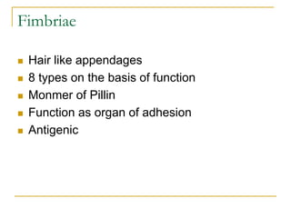 MORPHOLOGY OF BACTERIA | PPT