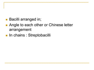 MORPHOLOGY OF BACTERIA | PPT
