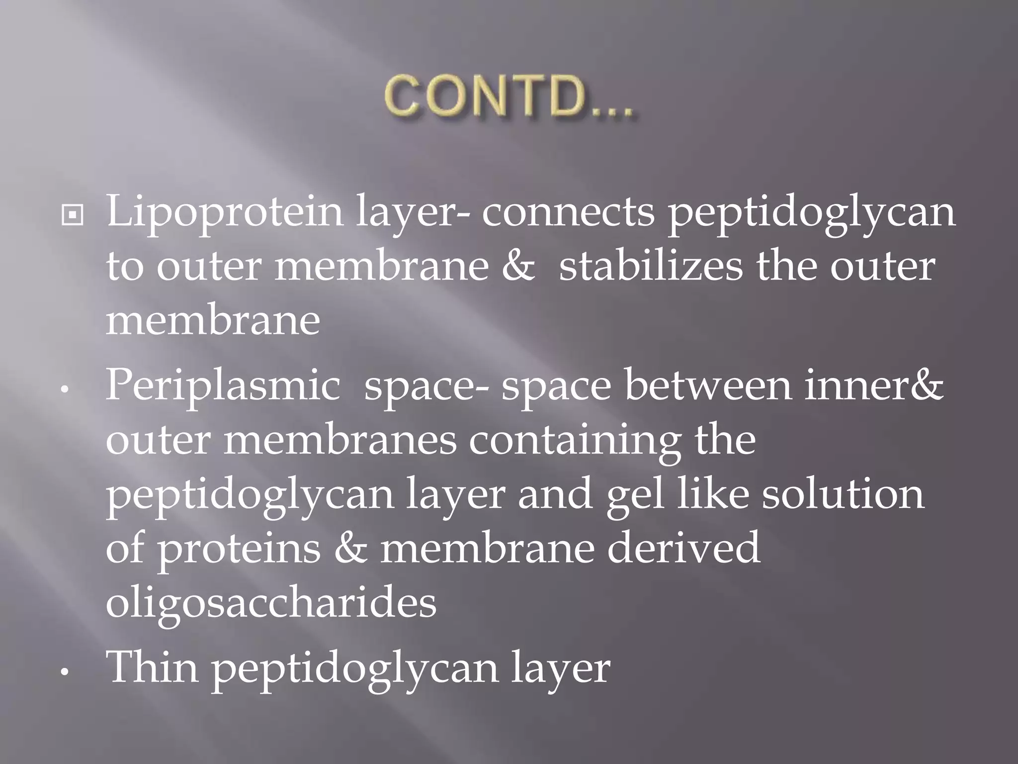 MORPHOLOGY OF BACTERIA.pptx