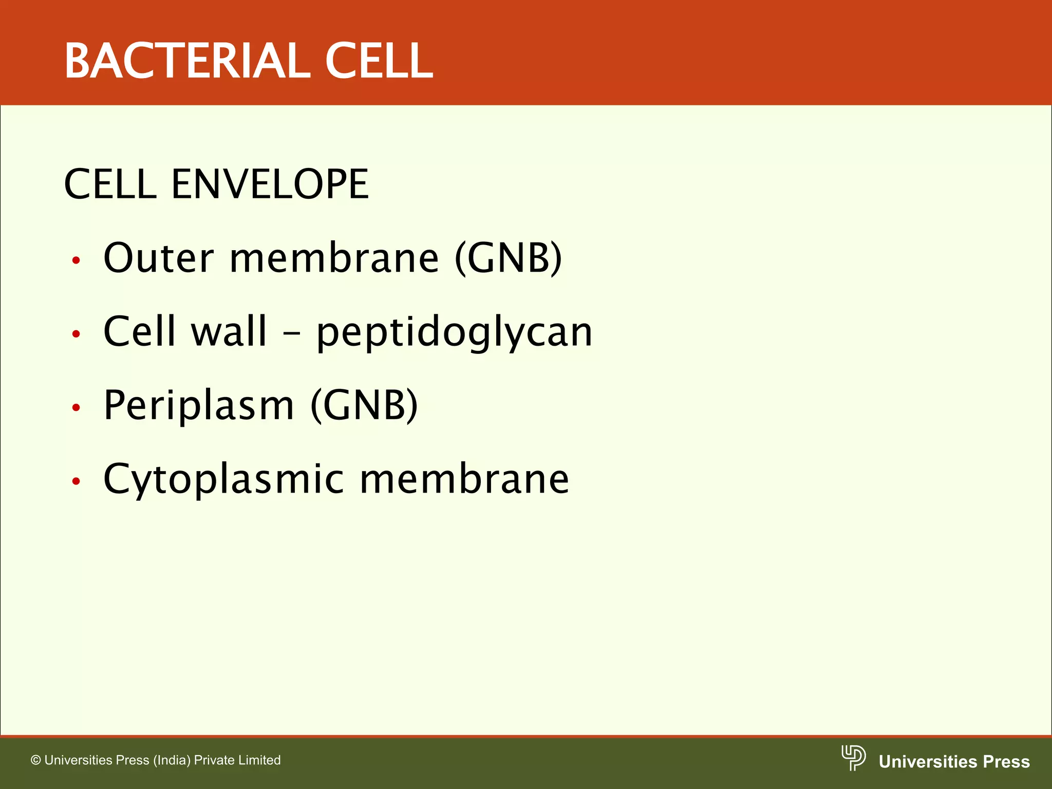 Morphology of Bacteria.ppt
