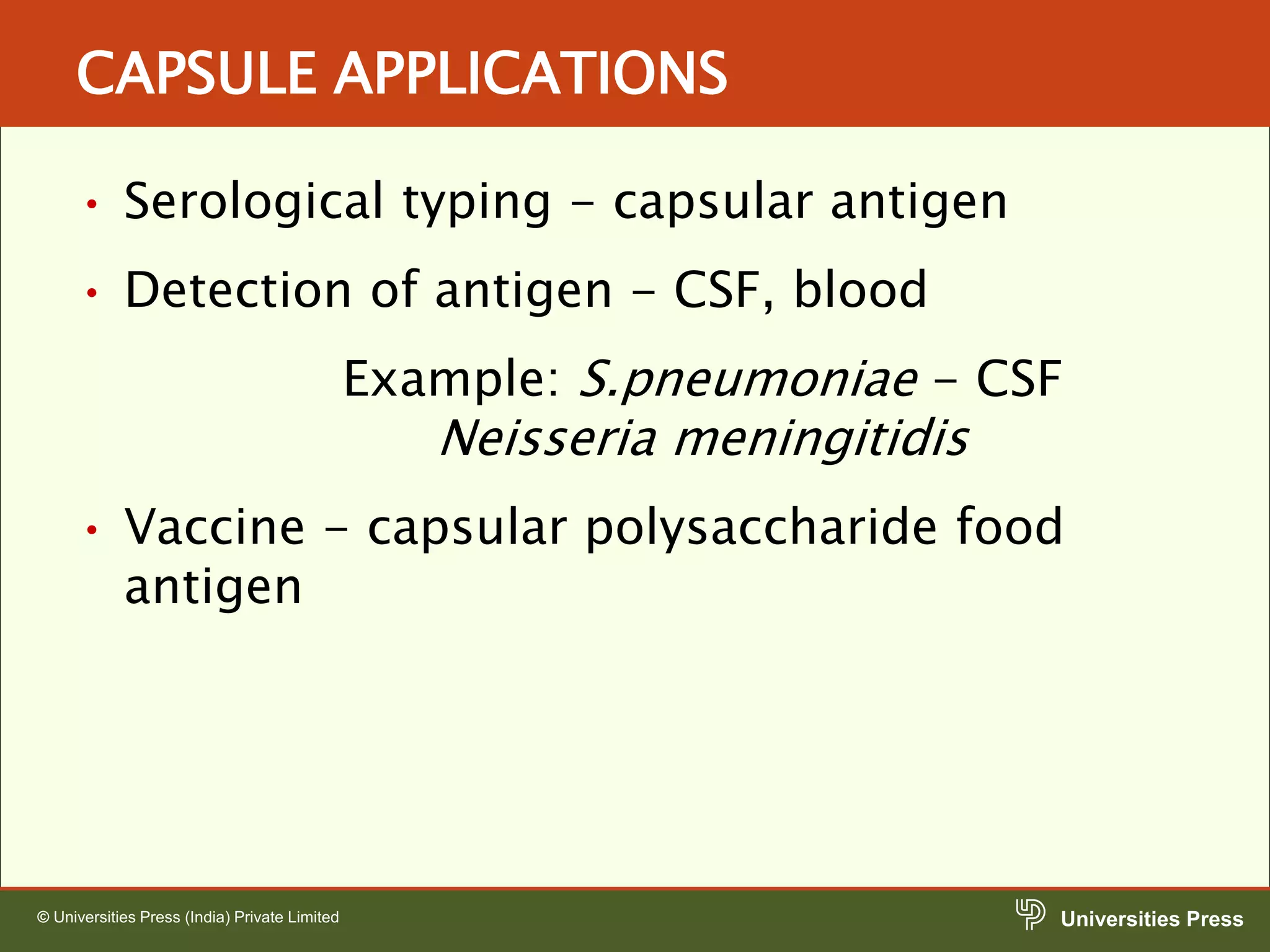 Morphology of Bacteria.ppt