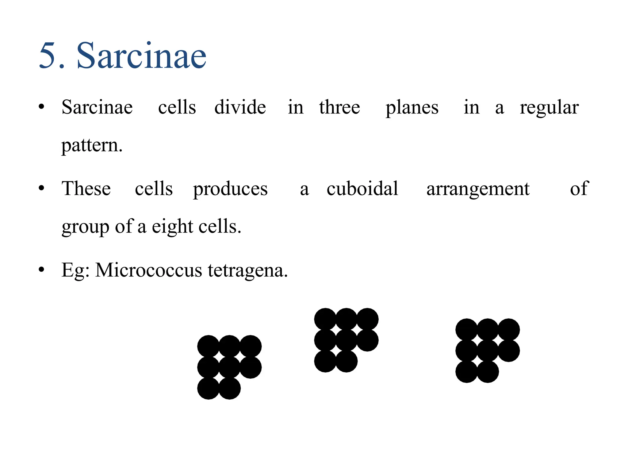 Morphologyof Bacteria.pptx